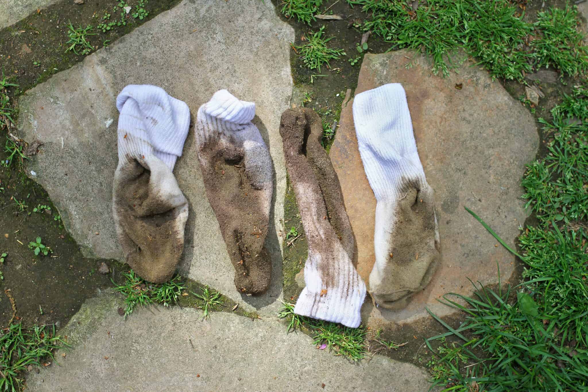 Grow Your Socks - Nature Science Experiment for Kids