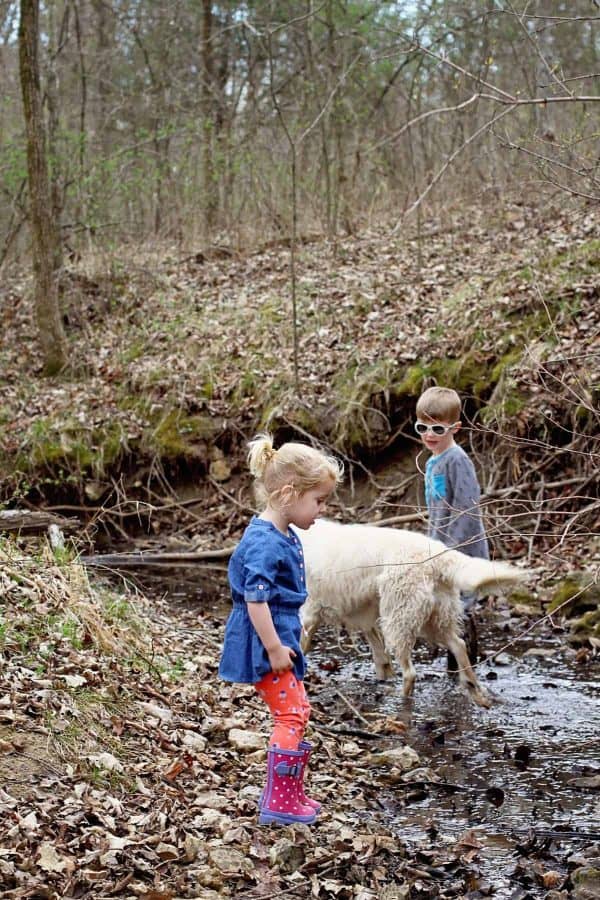 A Beginner's Guide to Hiking with Kids • RUN WILD MY CHILD