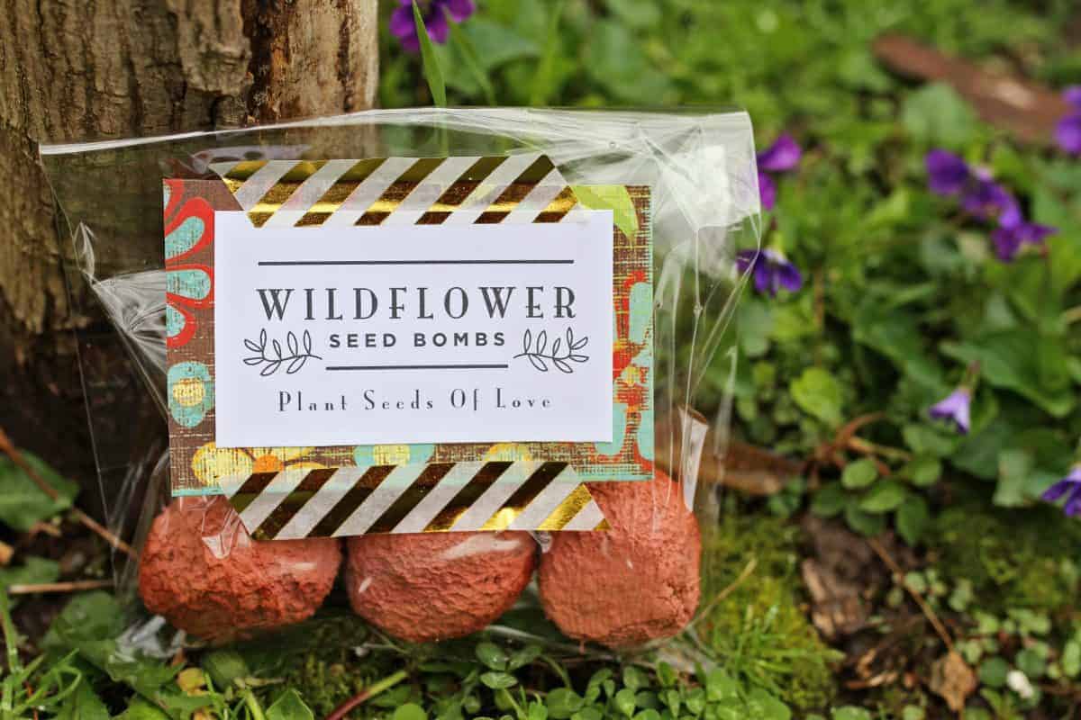 How to Make DIY Wildflower Seed Bombs with Kids