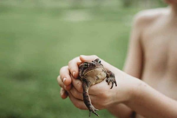 20 Benefits of Raising Kids Around Animals • RUN WILD MY CHILD