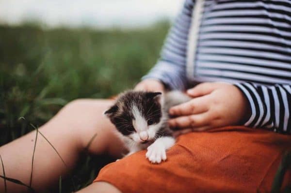 20 Benefits of Raising Kids Around Animals • RUN WILD MY CHILD