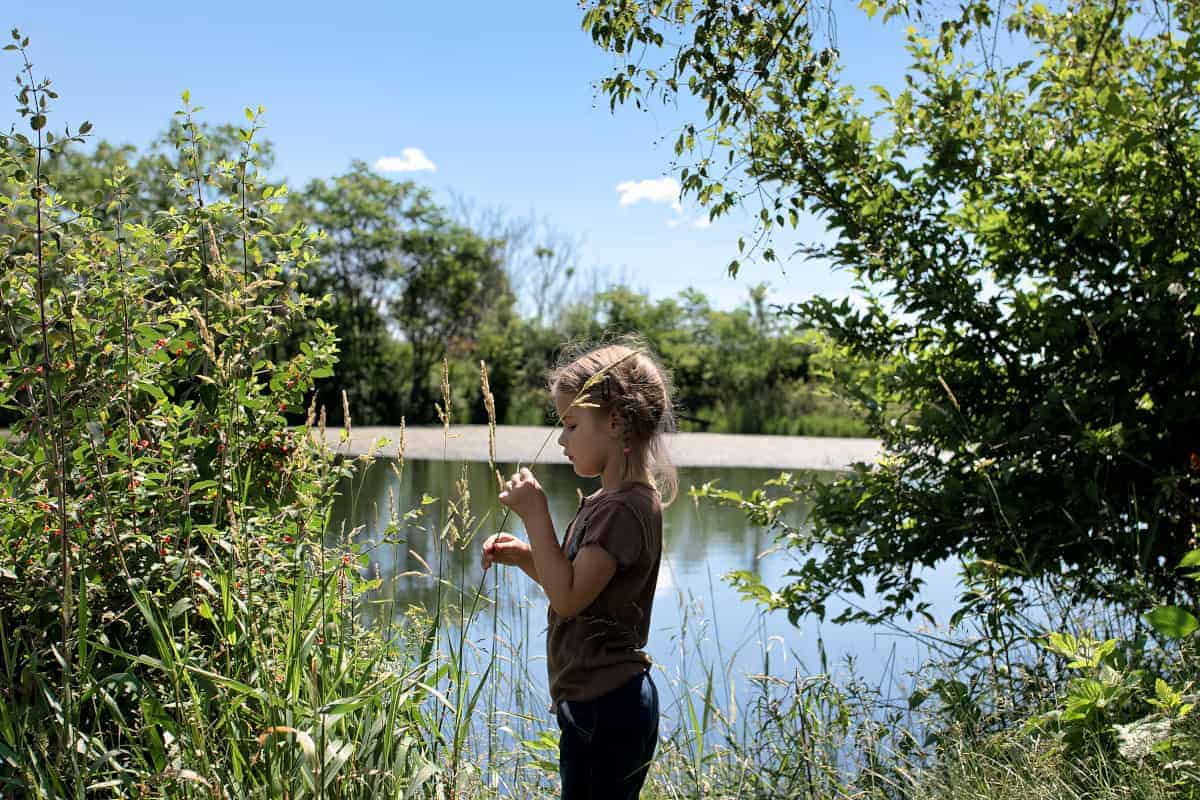 Nature Study: Exploring Ponds with Kids • RUN WILD MY CHILD