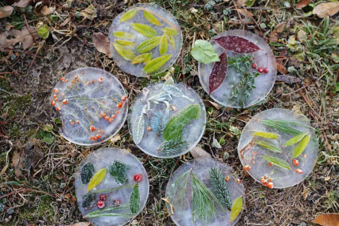 Winter Outdoor Activities: DIY Frozen Suncatchers • RUN WILD MY CHILD