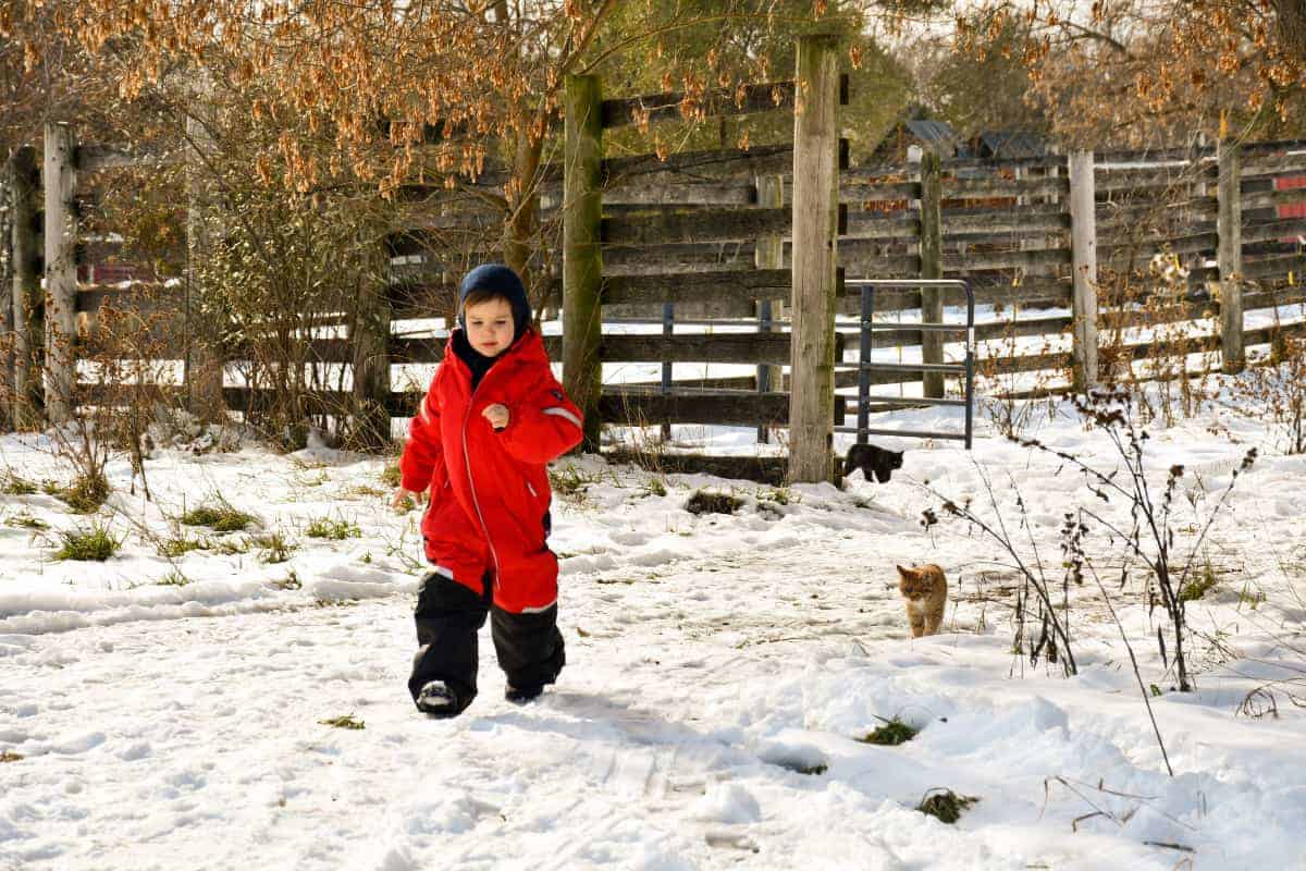 Hidden Benefits of Outdoor Winter Play for Children