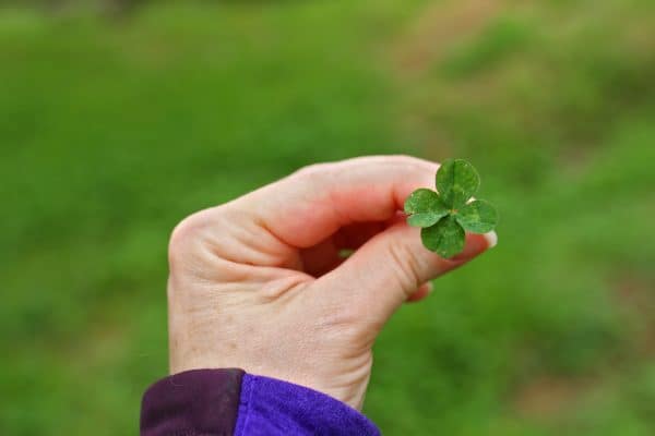 Four-Leaf Clover Hunt with Kids • RUN WILD MY CHILD
