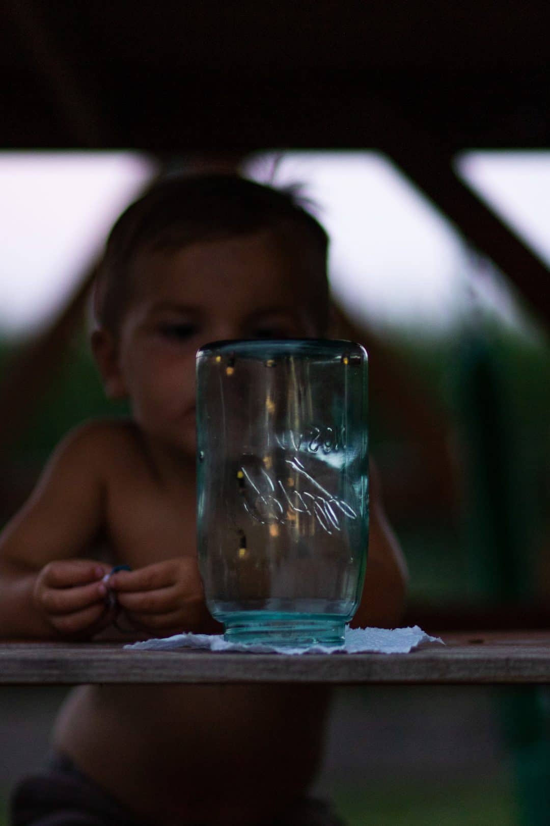 Fun with Fireflies • RUN WILD MY CHILD