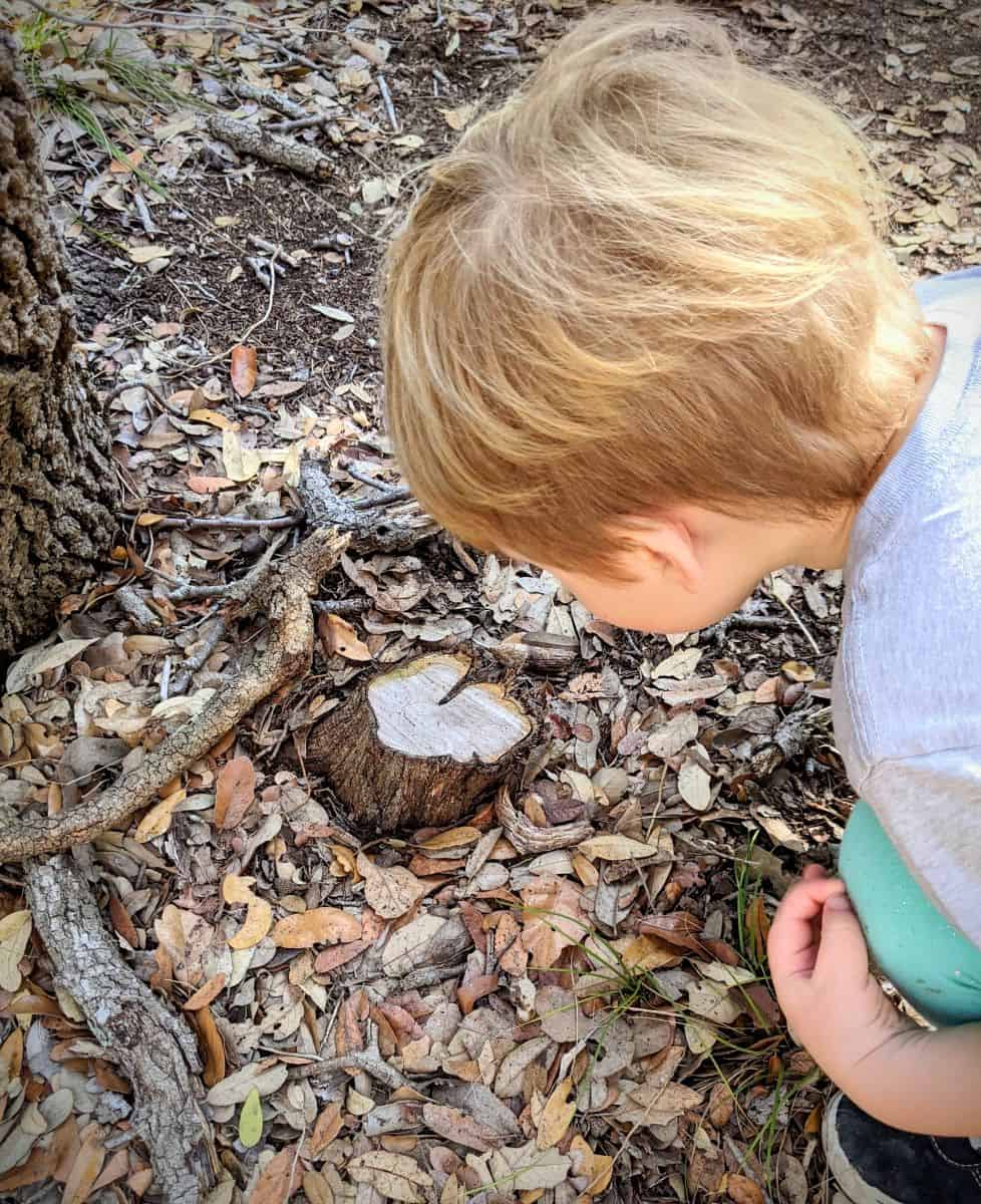 Valentine's Day Outdoor Activity: Nature Heart Hunt