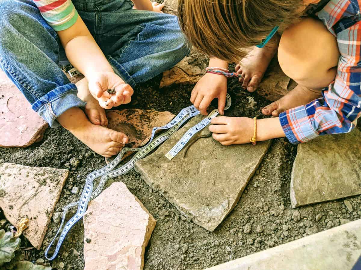 Exploring Worms with Kids • RUN WILD MY CHILD