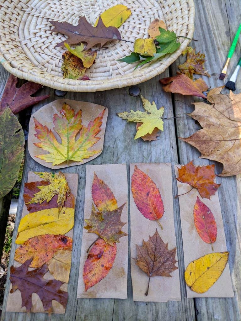 Fall Leaf Fun for Kids: Leaf Crafts, Leaf Activities, Leaf Books, and More!