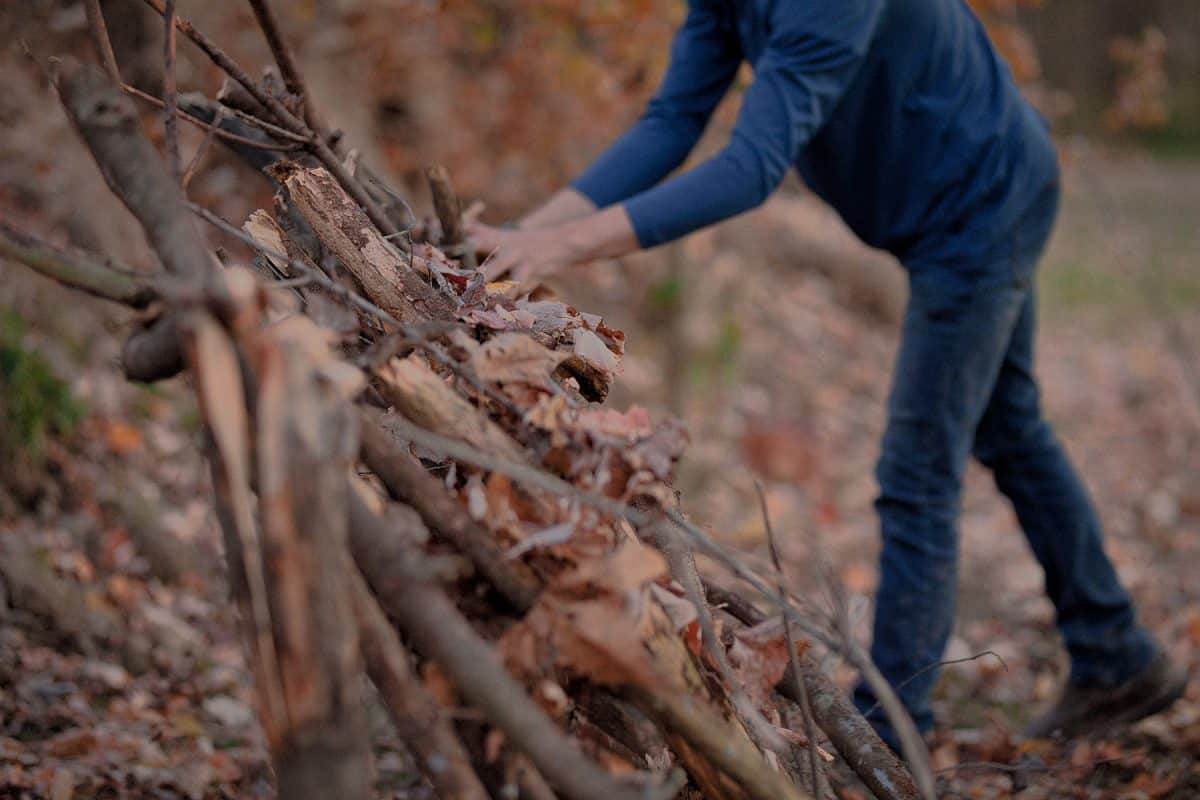 Wilderness Survival Skills for Teens and Tweens • RUN WILD MY CHILD