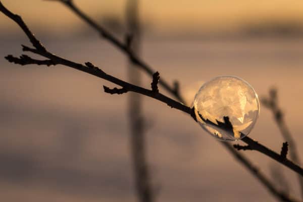 Winter Science Experiment for Kids: How to Make Frozen Bubbles
