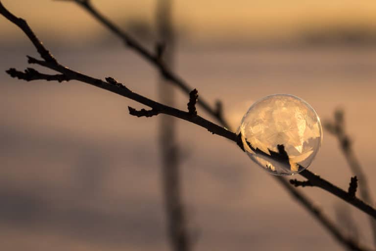 Winter Science Experiment for Kids: How to Make Frozen Bubbles