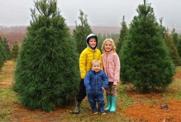 Ultimate List of Outdoor Gear for Kids • RUN WILD MY CHILD