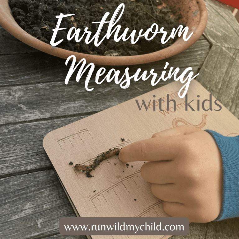 Nature's Math: Earthworm Measuring with Kids