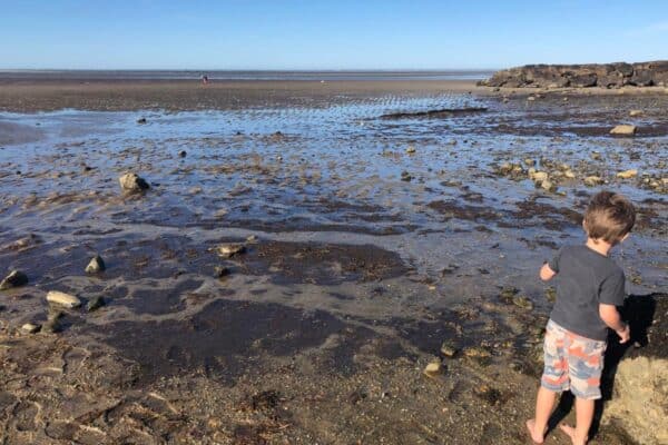 Exploring Tide Pools on Cape Cod • RUN WILD MY CHILD