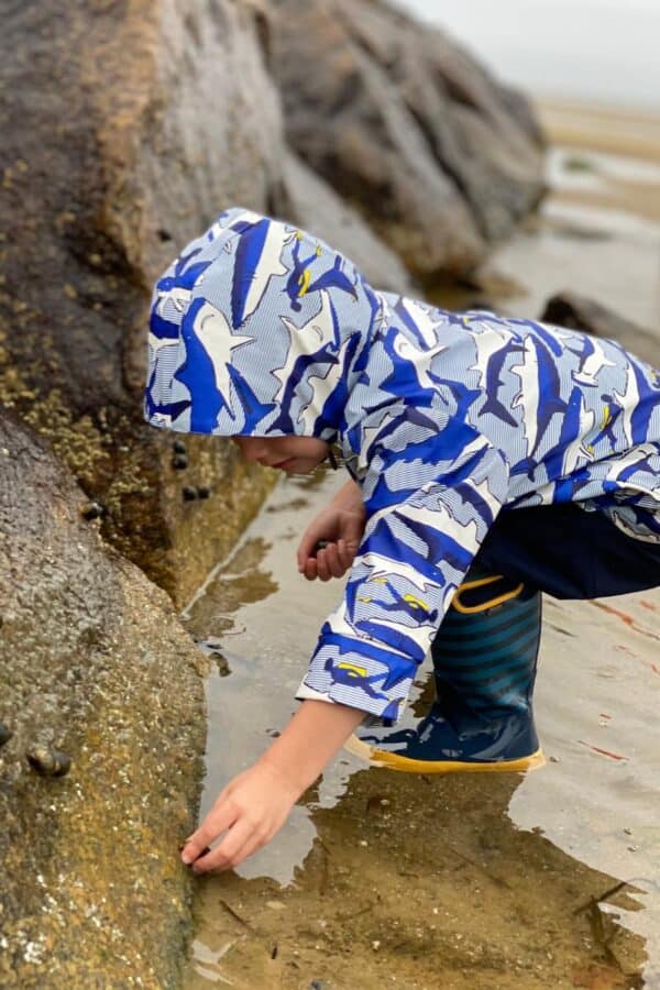 Exploring Tide Pools on Cape Cod • RUN WILD MY CHILD