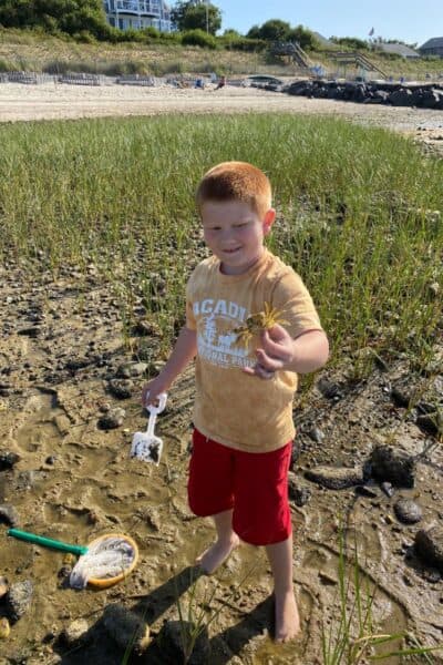 Exploring Tide Pools on Cape Cod • RUN WILD MY CHILD