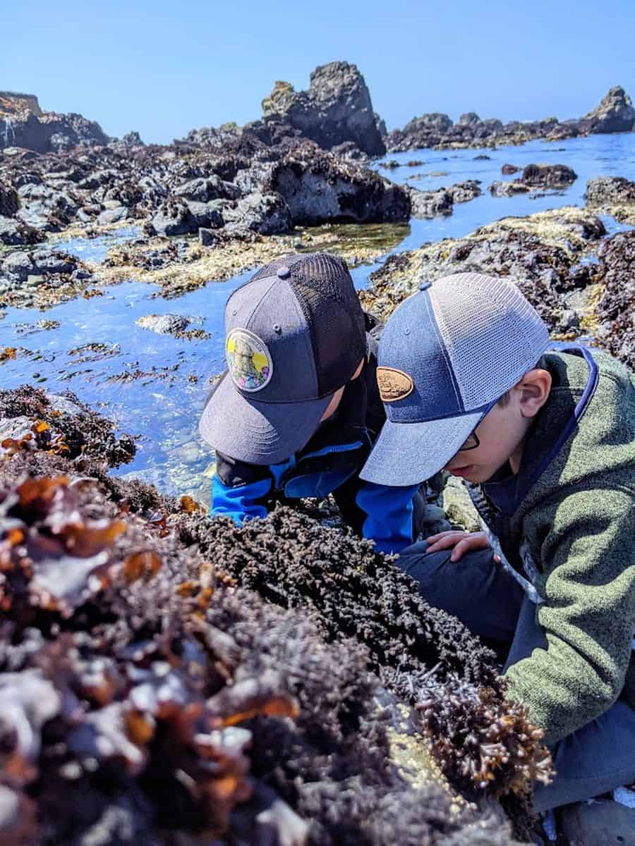 Exploring State Parks with Kids • RUN WILD MY CHILD