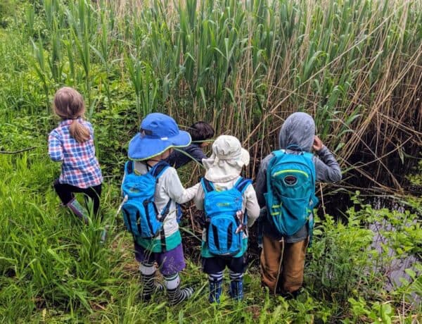 How to Organize an Outdoor Playgroup • RUN WILD MY CHILD