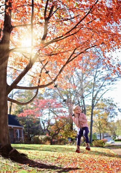 Must-Have Photos to Capture this Fall • RUN WILD MY CHILD