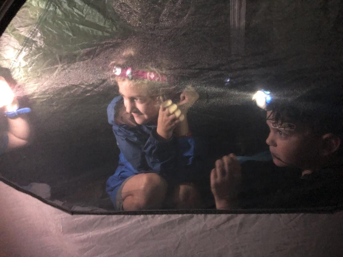 Ideas for Getting Outdoors at Night with Kids • RUN WILD MY CHILD