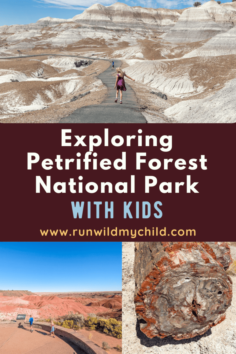 Exploring Petrified Forest National Park with Kids • RUN WILD MY CHILD