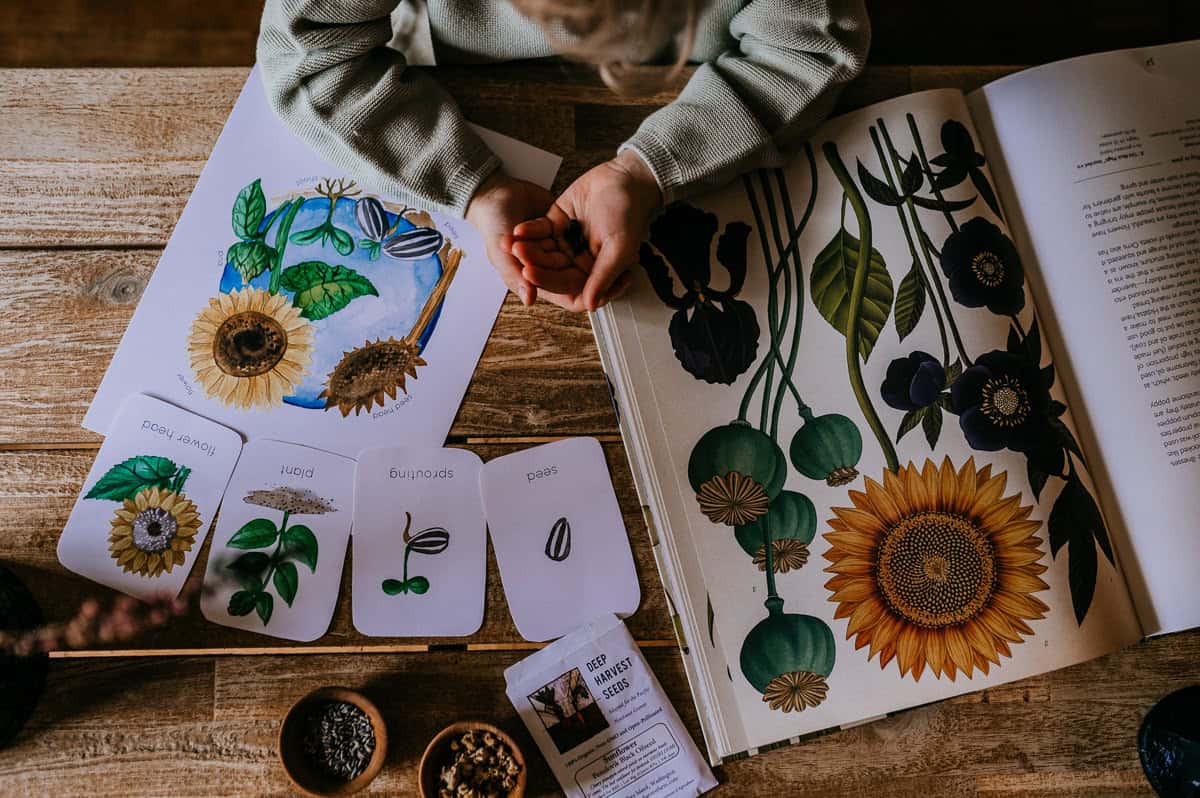 Herbalism with Kids: 5 Ways to Cultivate a Kinship with Plants • RUN ...